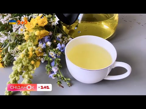 🌼 Букет здоров’я: Як вирощувати і збирати лікарські трави — поради від Тоні Лесик