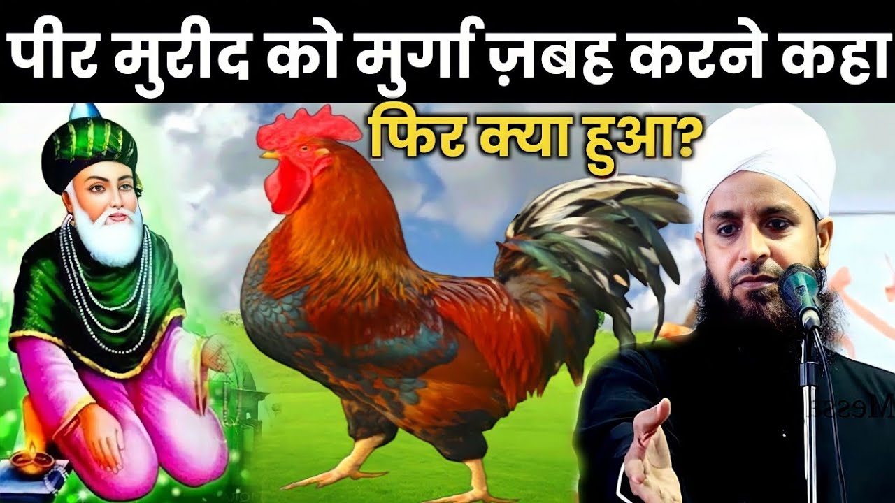 Peer Mureed Ko Murga Jabah Karne Kaha Fir Kiya Hua? By Maulana Sohrab ...