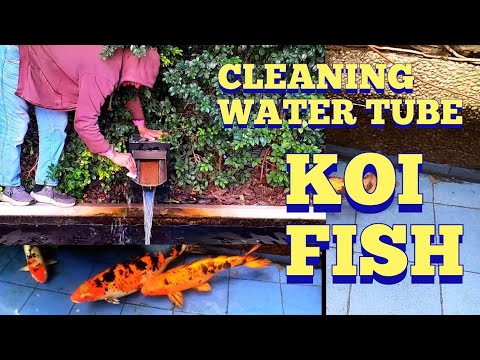 PART 1 CLEANING WATER TUBE - YouTube