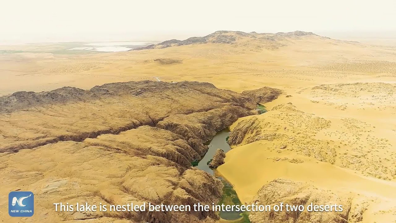 An oasis in north China desert - YouTube