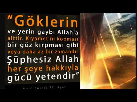İSTANBULLU 313 TV CANLI YAYIN