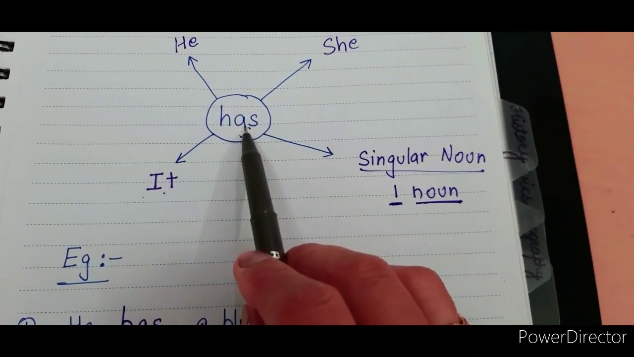 Use Of Has And Have English Grammar Has And Have Grammar For Use Of Has And Have English Grammar Has And Have Grammar For