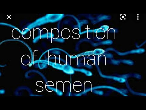 human semen composition #semen of human@ वीर्य की संरचना - YouTube