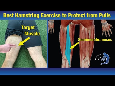 Best Hamstring Exercise Ever to Protect from Pulls - Never Injure Legs ...