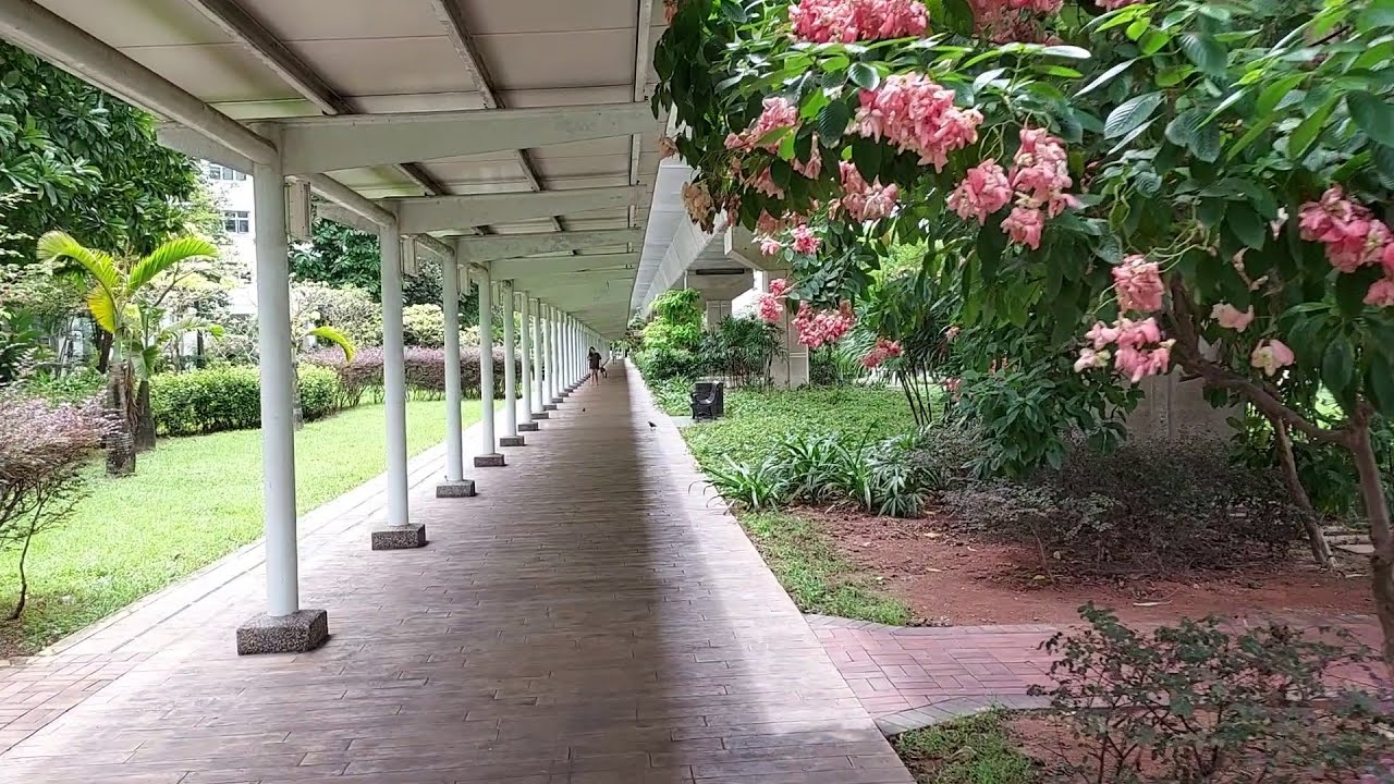 Punggol MRT to Cove LRT - YouTube