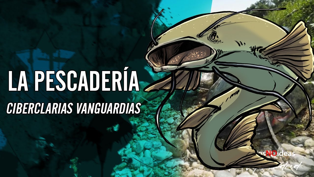 Respondiendo a ciberclarias 🐟 LA PESCADERÍA - YouTube