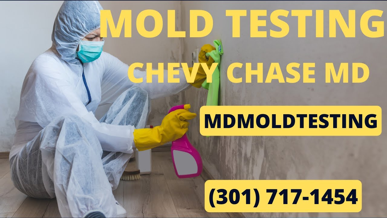 Mold Testing Chevy Chase Maryland - YouTube