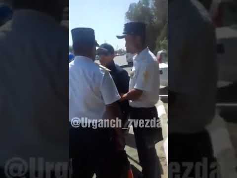 Gailar judayam xaddilaridan owiwmoqdala