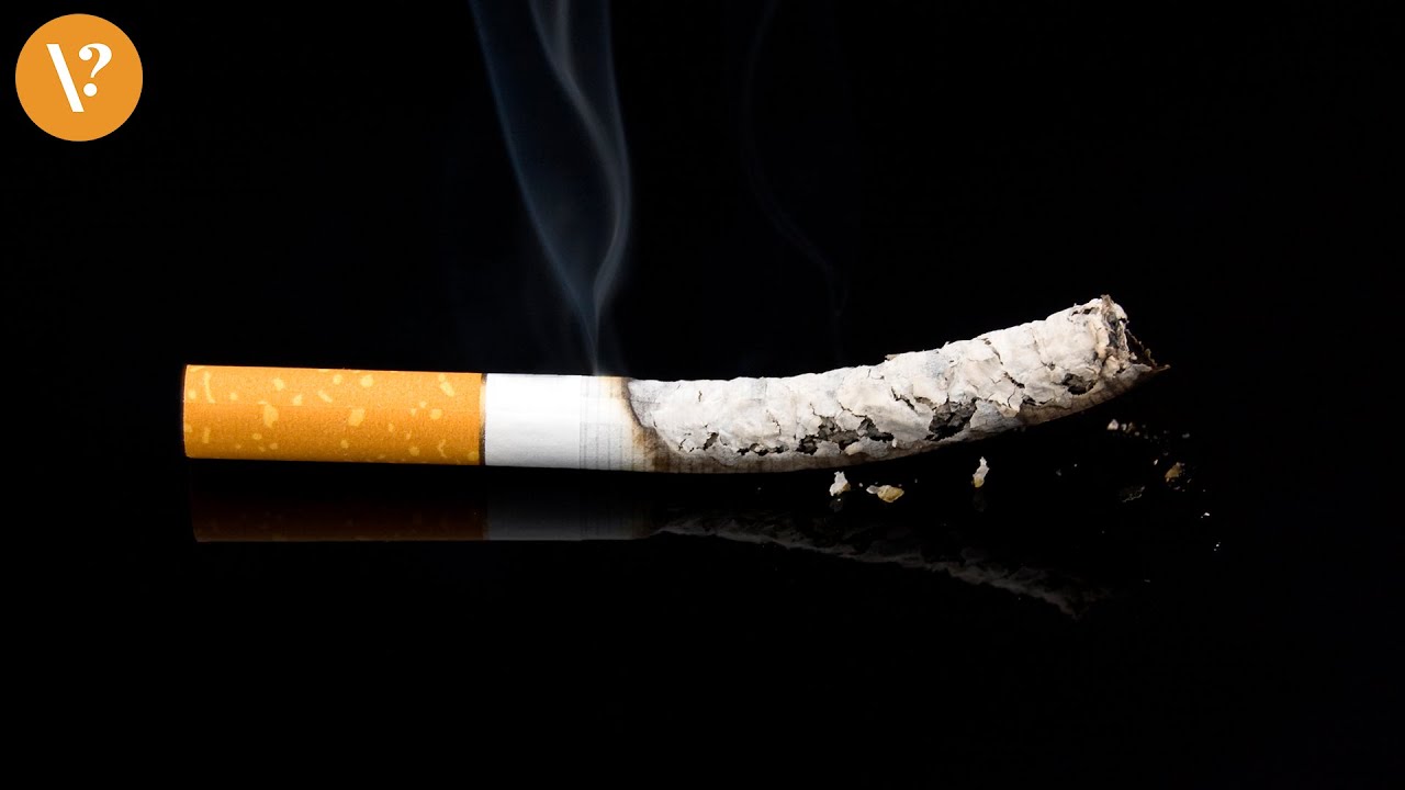 Det sker i kroppen, når du stopper med at ryge - YouTube