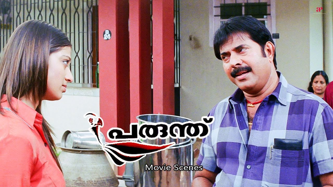Parunthu Malayalam Movie | Will Jagathy manage to return Mammootty's ...