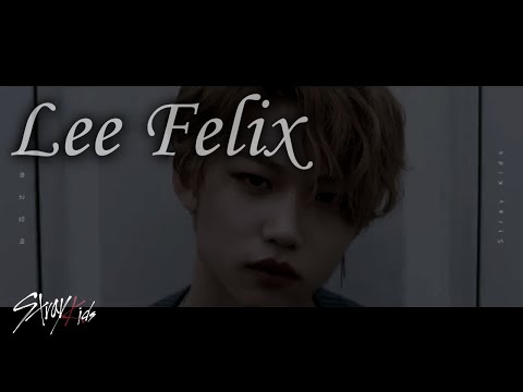FMV Felix  「Crazy in love」