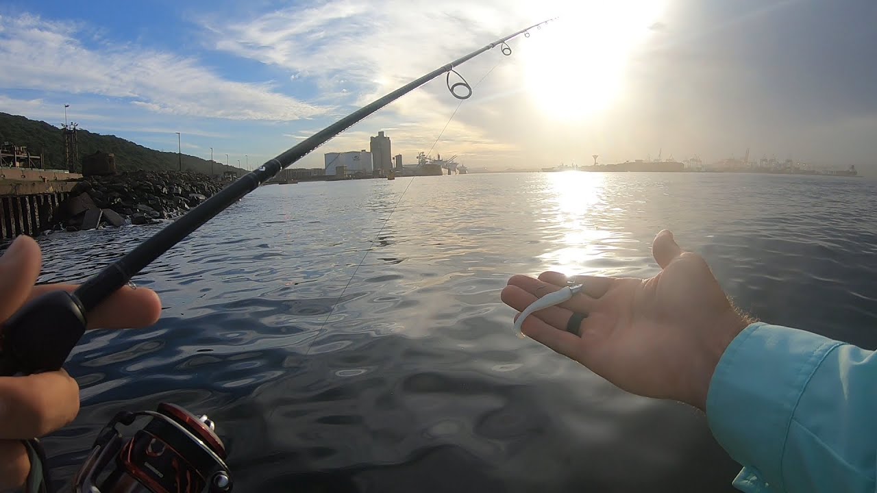Fishing Durban Harbour, HOW TO fish it & Tips and Tricks. South Africa ...