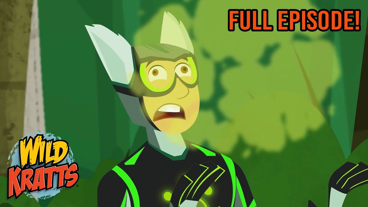 Lemur Stink Fight | Season 3 | Full Episode | Animals for Kids | Wild ...
