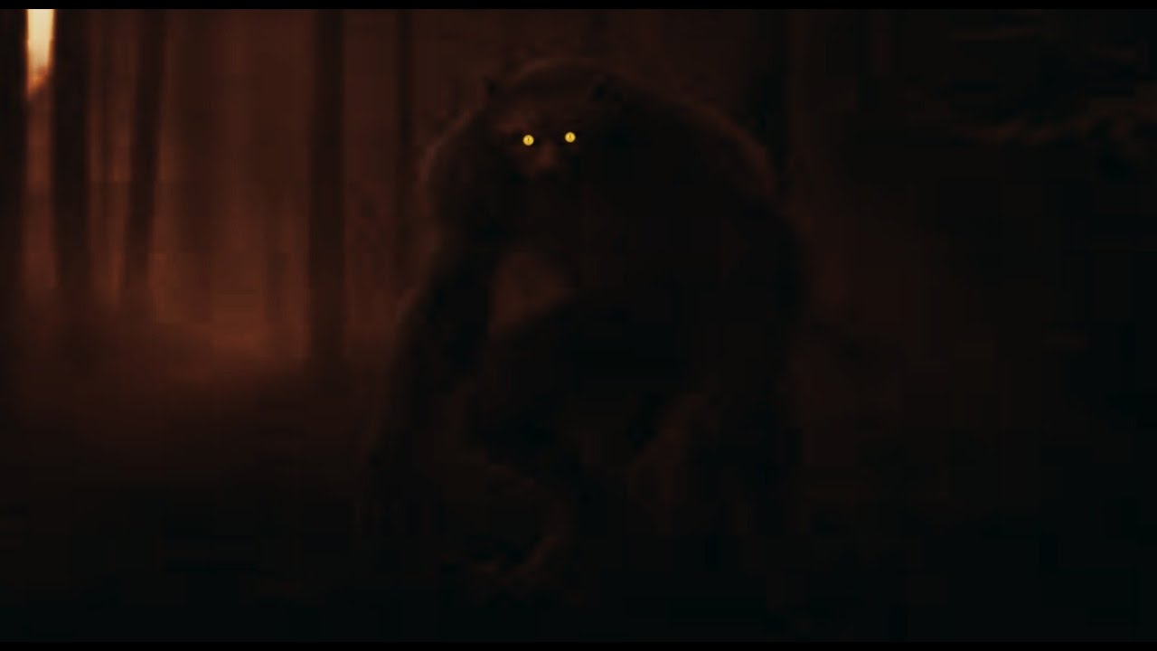 Dogman sighting Defiance OHIO - YouTube