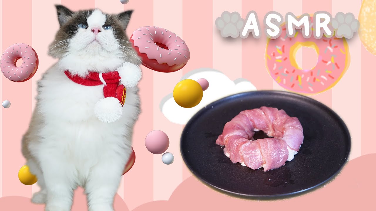 Stop Motion eating cat, Donuts made with chicken puree and raw meat ...