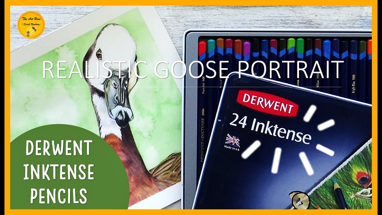 DERWENT INKTENSE Pencils: Features, tips, techniques and painting a ...