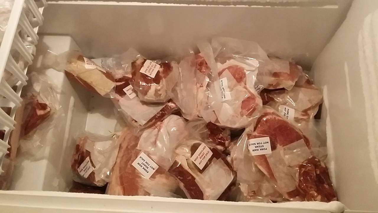 Processed Hogs - YouTube