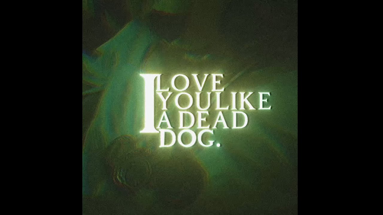 I Love You Like A Dead Dog. - YouTube