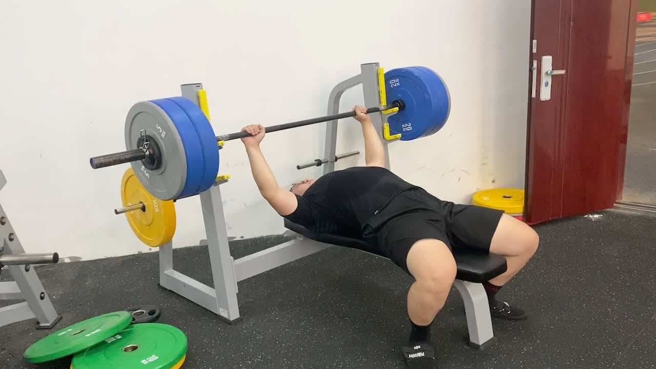 sheiko gold ai计划 day59 - YouTube