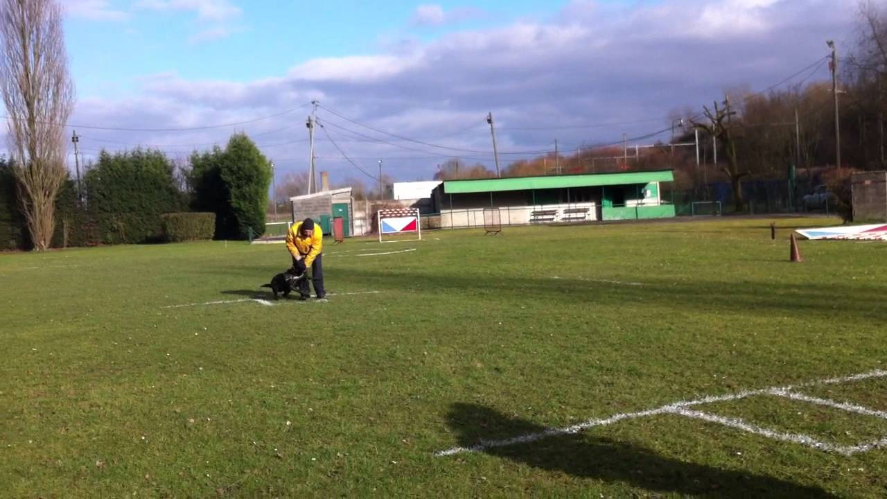 ihaven du rocher des ducs entrainement ring - YouTube