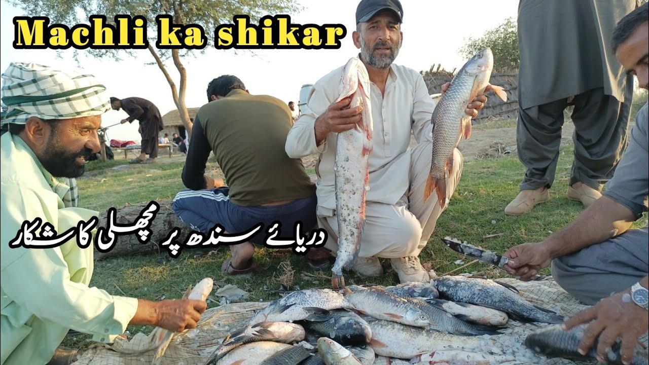 fishing on river || machli ka shikar#Goinfotainment - YouTube