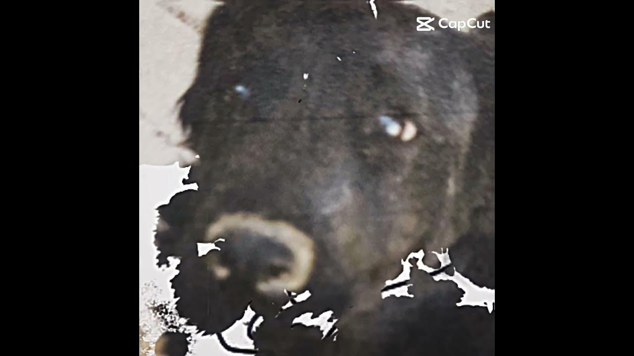 we gonna miss You forever - YouTube