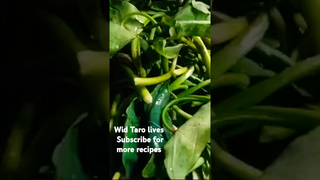 WILD taro lives, please do subscribe for more delicious recipe - YouTube