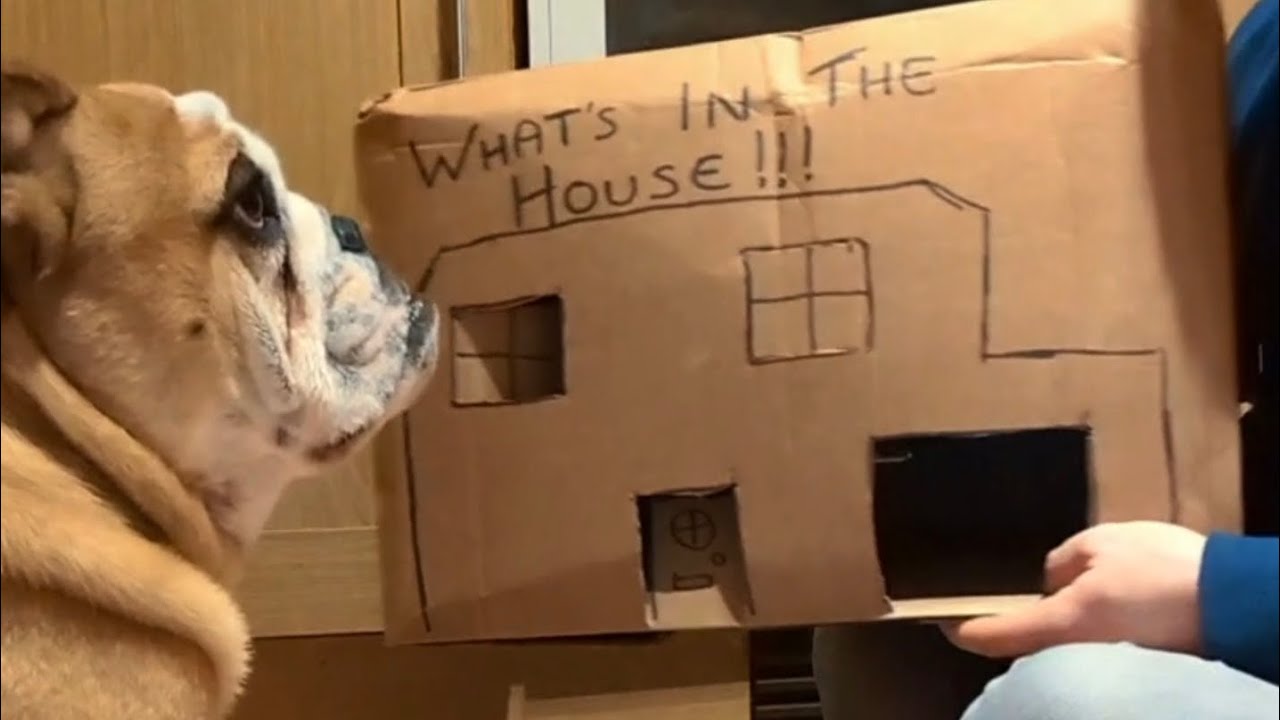 30 minutes setting up the perfect game for Pablo and Diego, Pablo ...