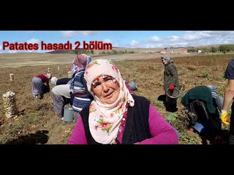 #PATATES# #HASADI# 2 bölüm #ANADOLUNUN#SESİ yim ben#       #arif gulum# #PATATES.COM# haberleri