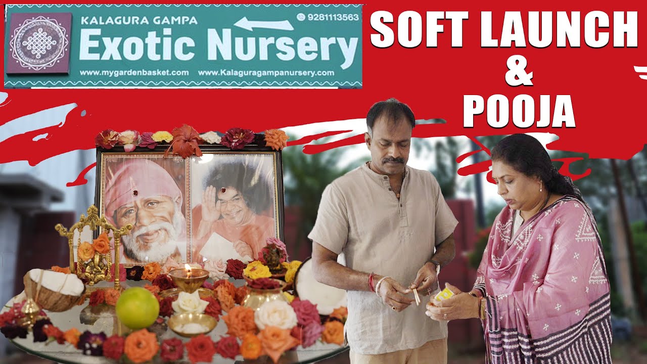 KALAGURA GAMPA NURSERY SOFT LAUNCH & POOJA #garden #plants #nature ...