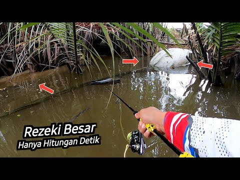 Spot Mancing Gokil -- Mulai Ikan Kakap Besar Sampai Monster Non Target Naik Semua