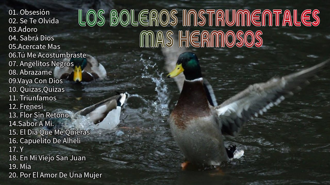 LOS BOLEROS INSTRUMENTALES MAS HERMOSOS - BOLEROS CLASICOS ...