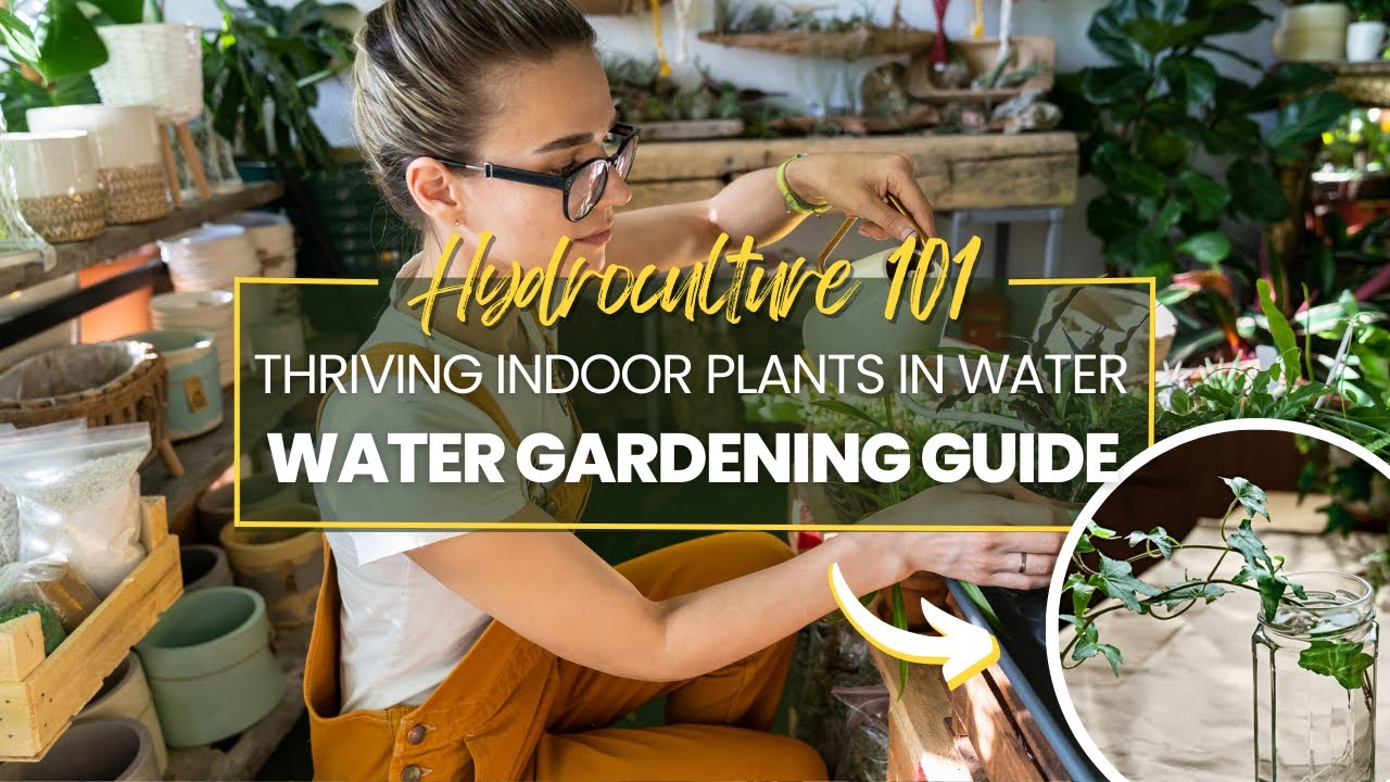 Hydroculture 101 : Thriving Indoor Plants in Water | Water Gardening ...