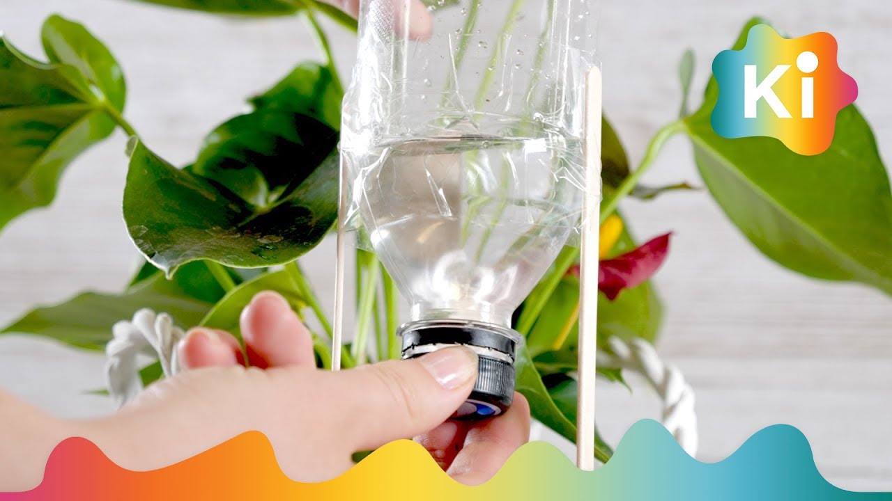 Lag selvvanning til plantene med en flaske og pinner - YouTube