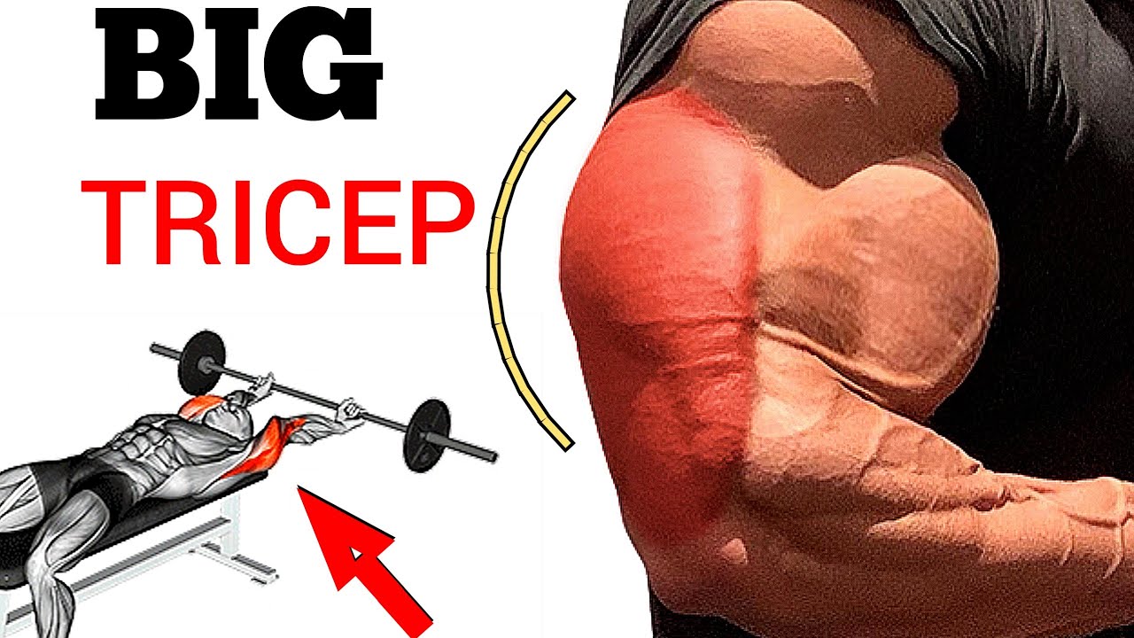 Triceps Workout Gym for Big Tricep to Build Big Arms - YouTube