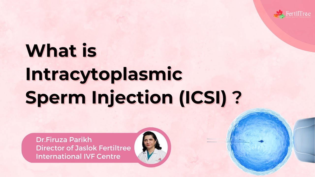 Intracytoplasmic sperm injection (ICSI) - YouTube