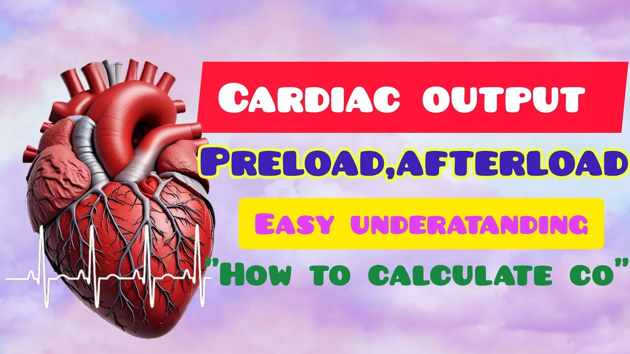 CARDIAC OUTPUT (CALCULATION, DETERMINANTS) - YouTube