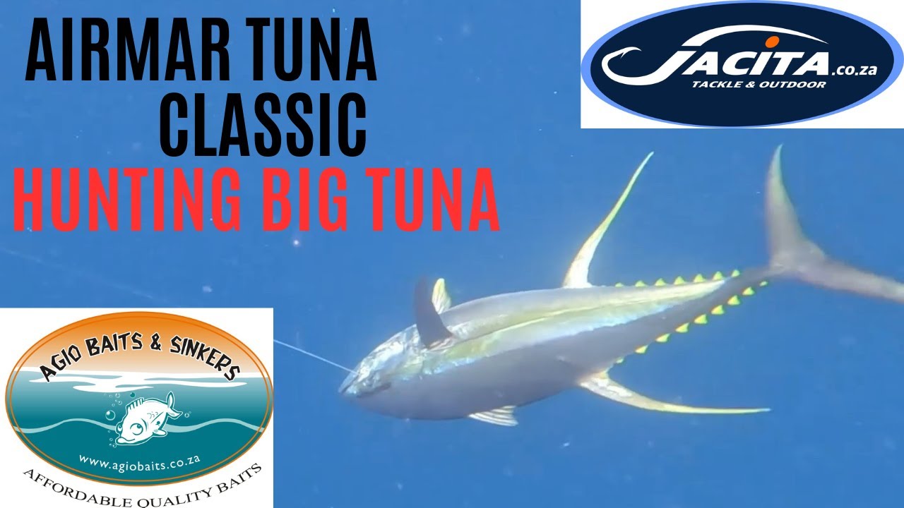 Three Tuna Species Landed!!! - YouTube