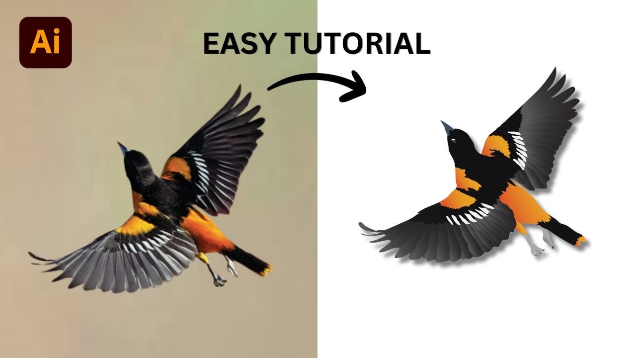 Adobe Illustrator Tutorial - How to Create Oriole Bird Vector ...