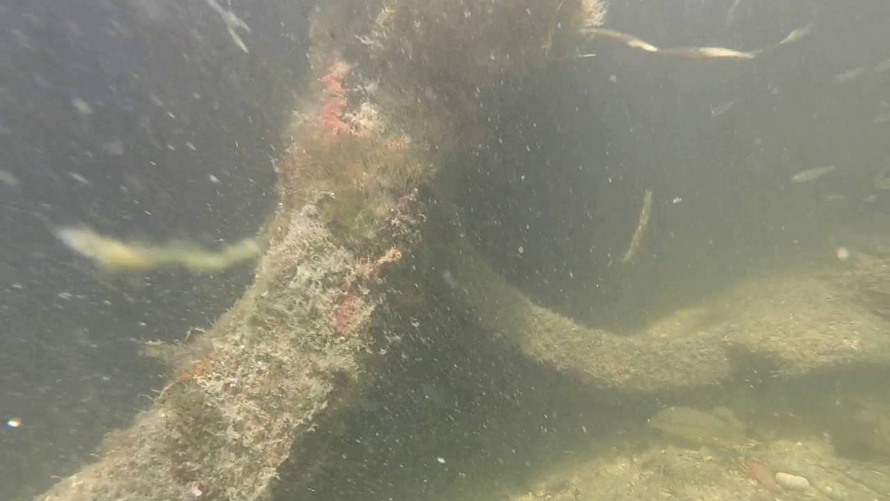 Underwater Culvert Inspection - YouTube