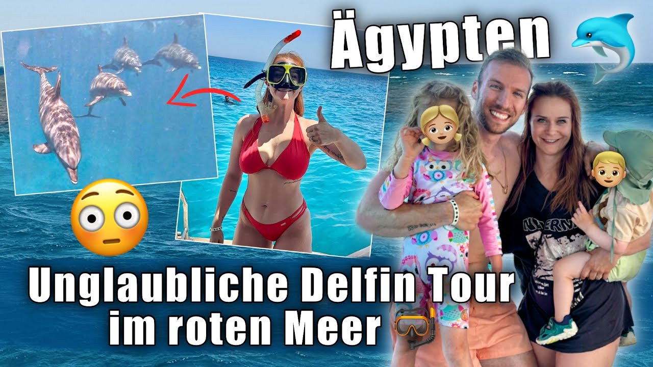 Erste Delfin-Tour mit den Kindern im Roten Meer 🐬 (ABSOLUTER WAHNSINN!) - YouTube