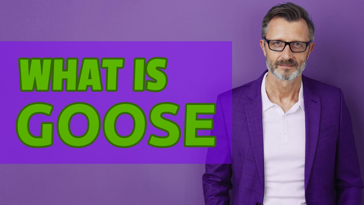 Goose | Meaning of goose - YouTube