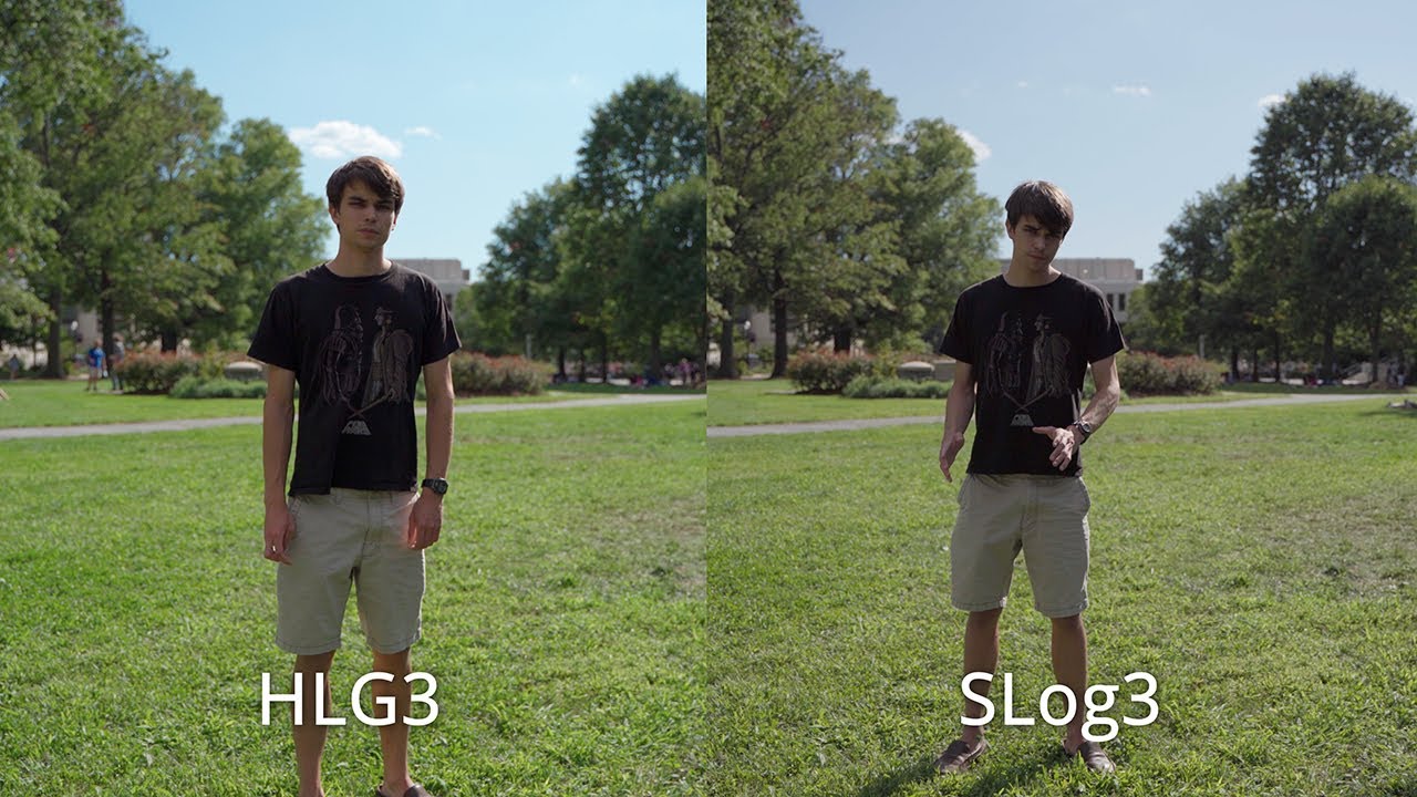 Is 8-Bit Sony Log Usable? - YouTube