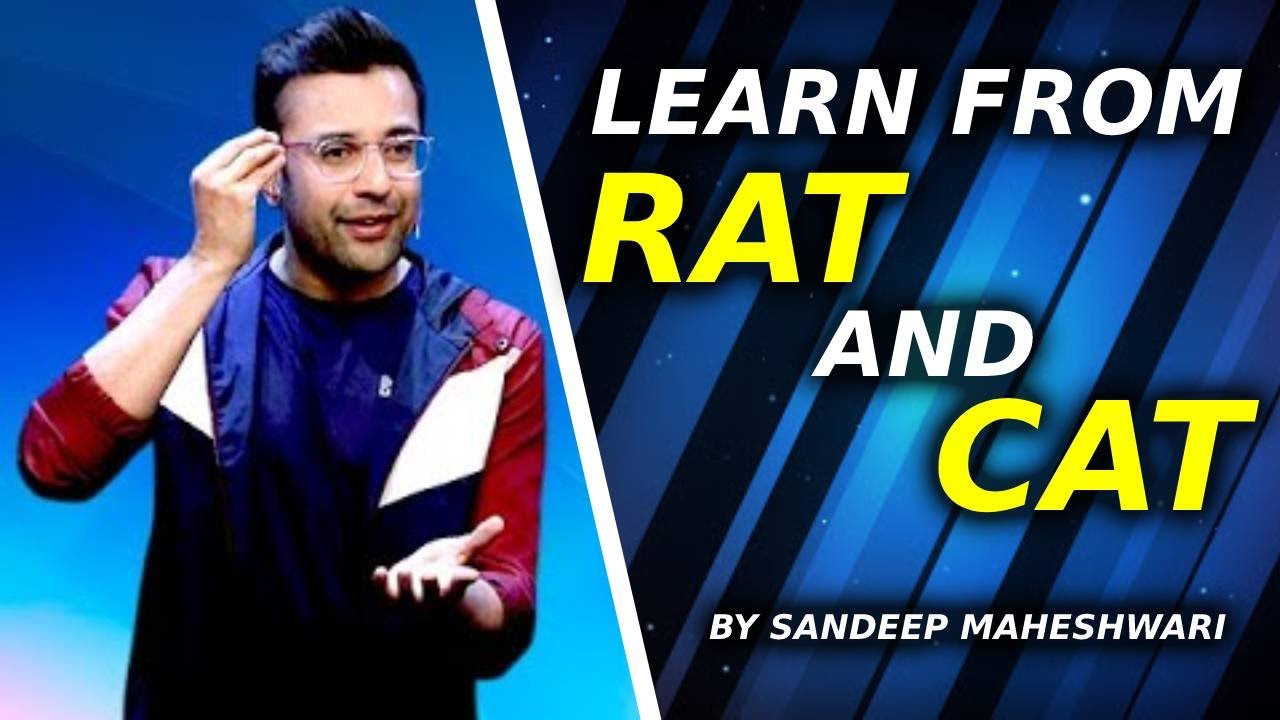 Learn From Rat And Cat | By Sandeep Maheshwari - Motivational Video ...