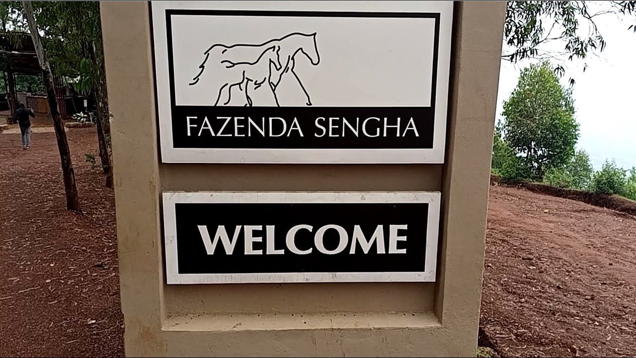 😎😎Zip Lining In Rwanda At Fazenda Sengha - YouTube