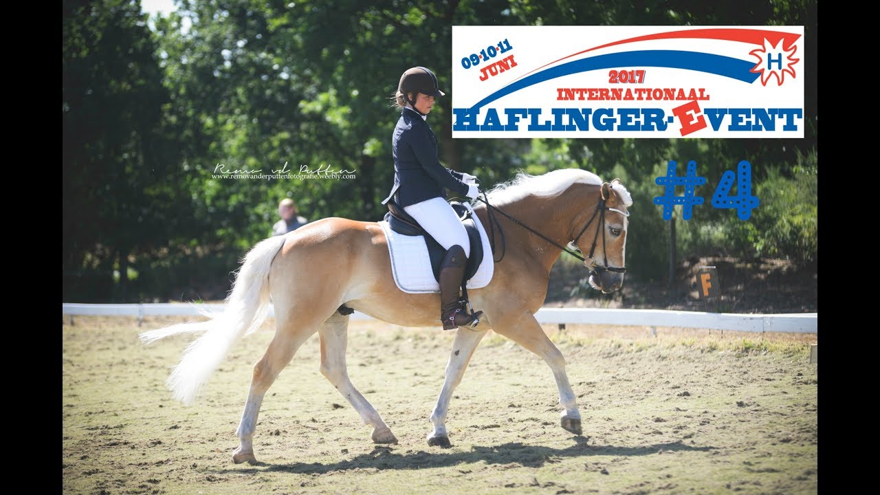DE LAATSTE DAG | Haflinger Event 2017 #4 - YouTube