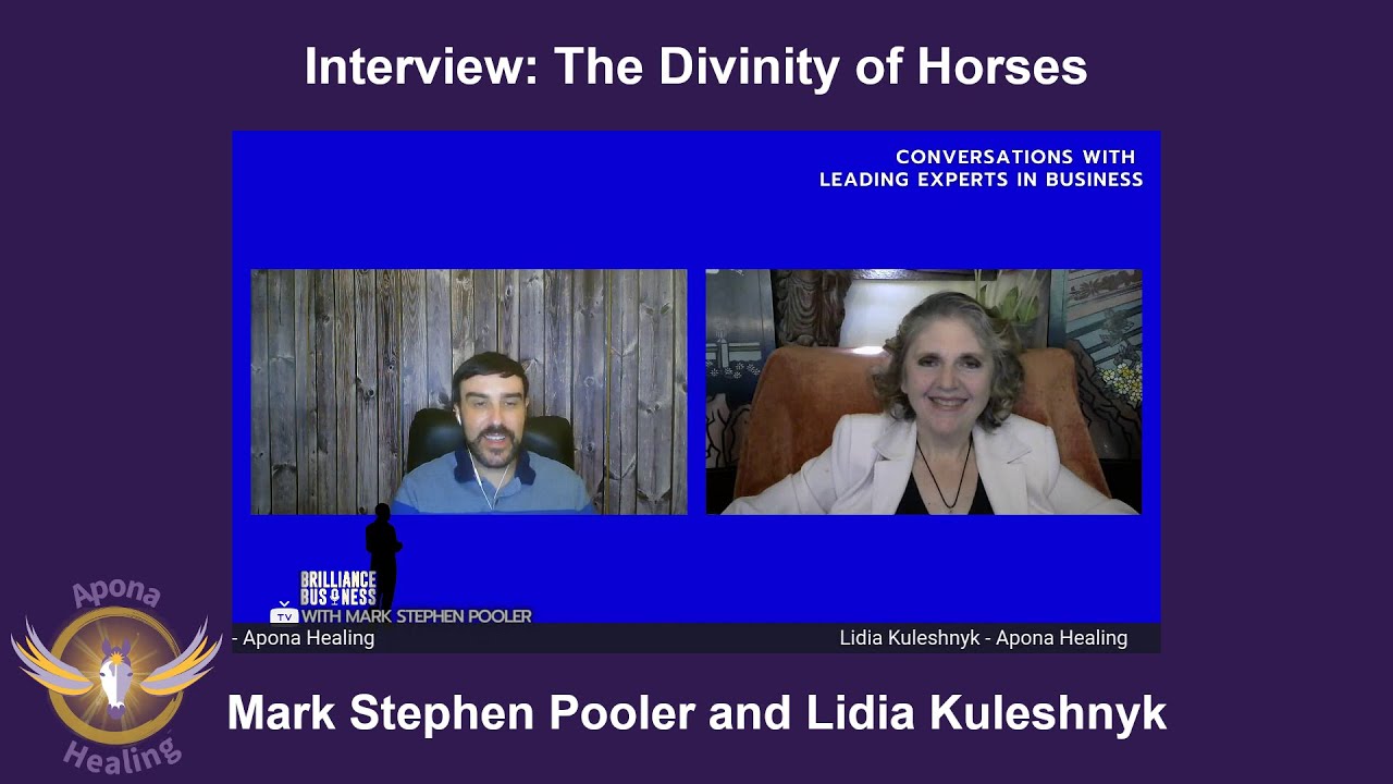 Interview: The Divinity of Horses - YouTube