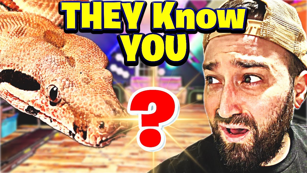 Do Snakes Bond With Their Owners?! | What Science ACTUALLY Says! - YouTube