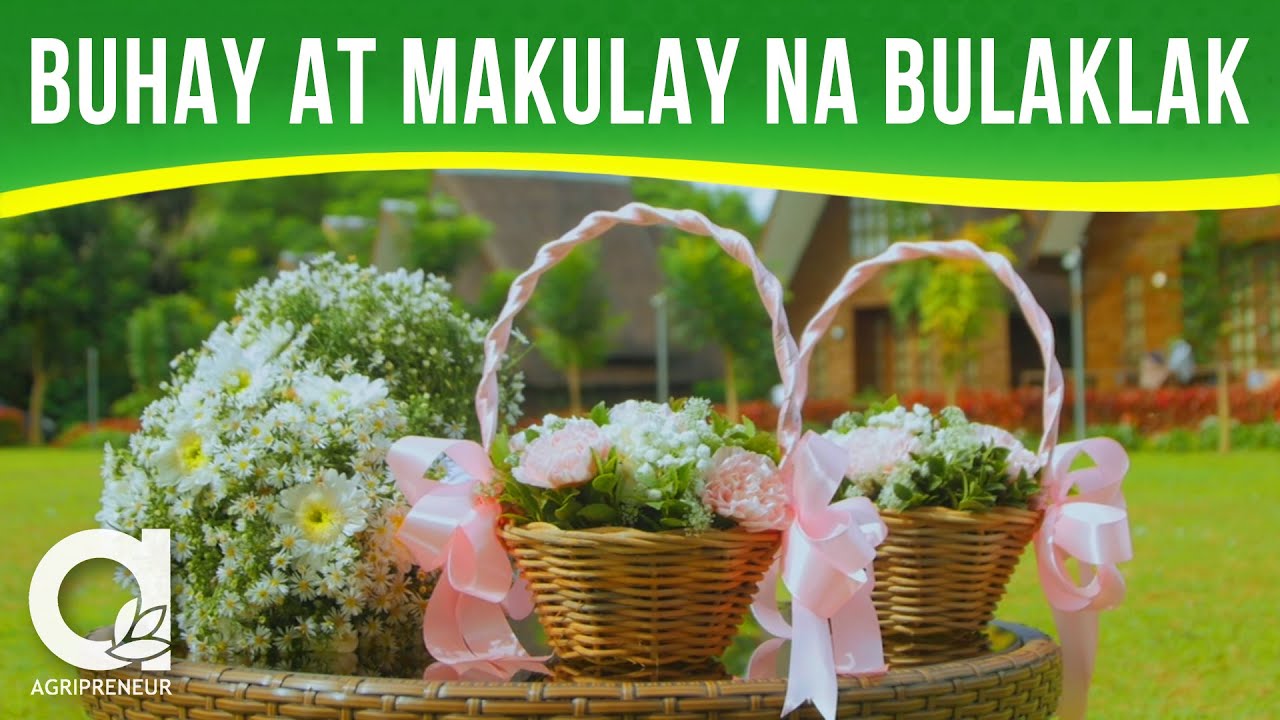 Ang Buhay na Buhay na EMV Flower Farm! - YouTube