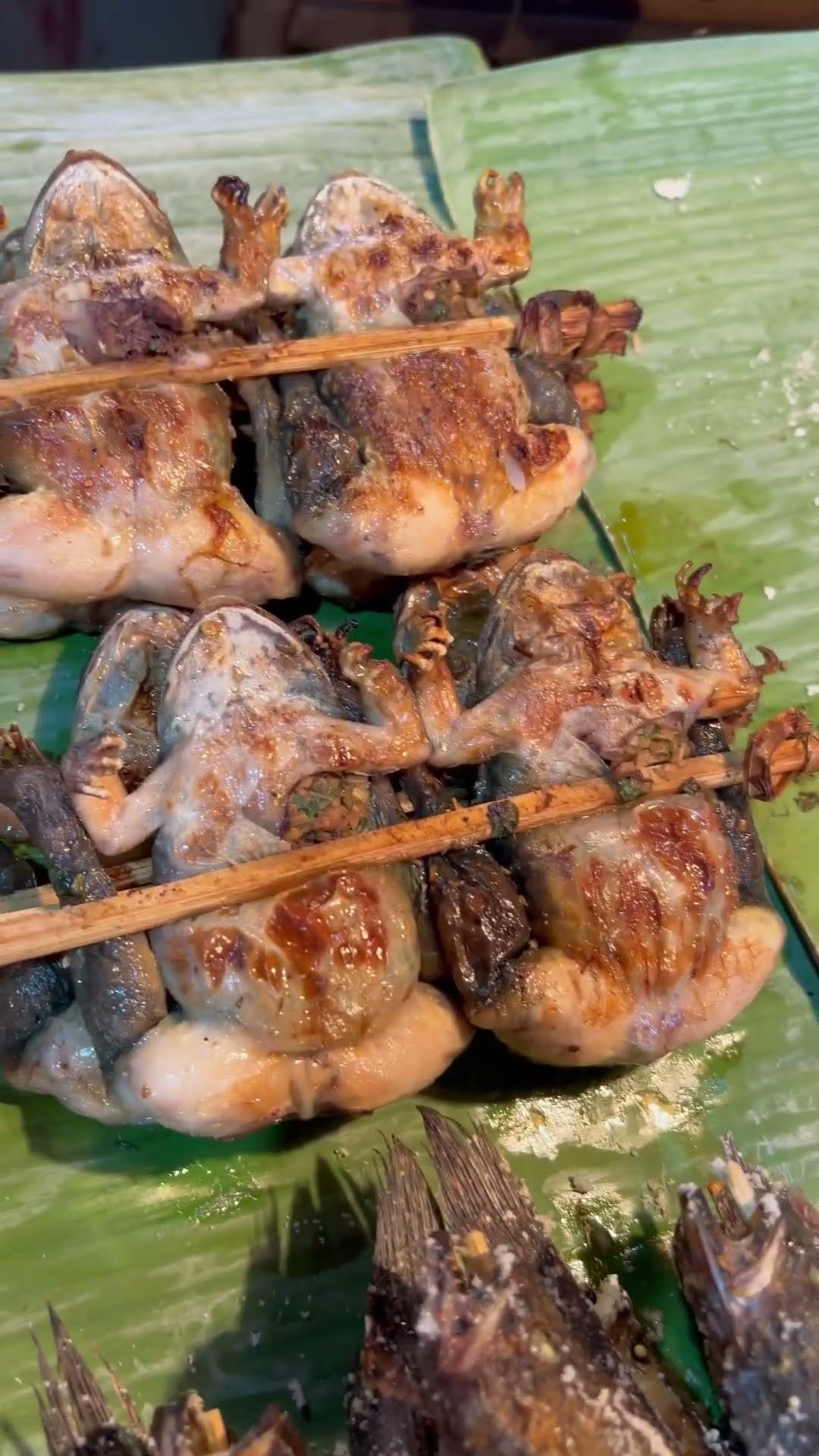 Gegrillte Frösche yummy - YouTube